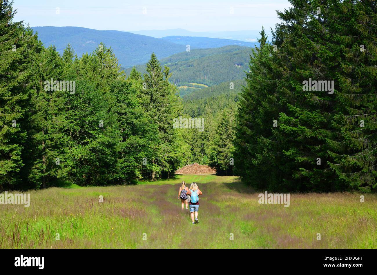 Hikers on a trip in Sumava National Park. Trail from the top of Pancir ...