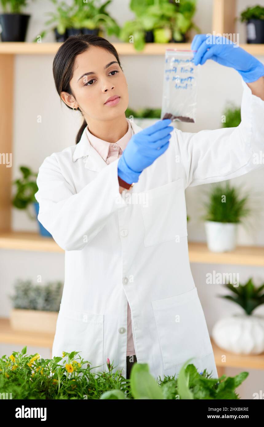 Ill send these off for testing. Shot of a young scientist working with ...