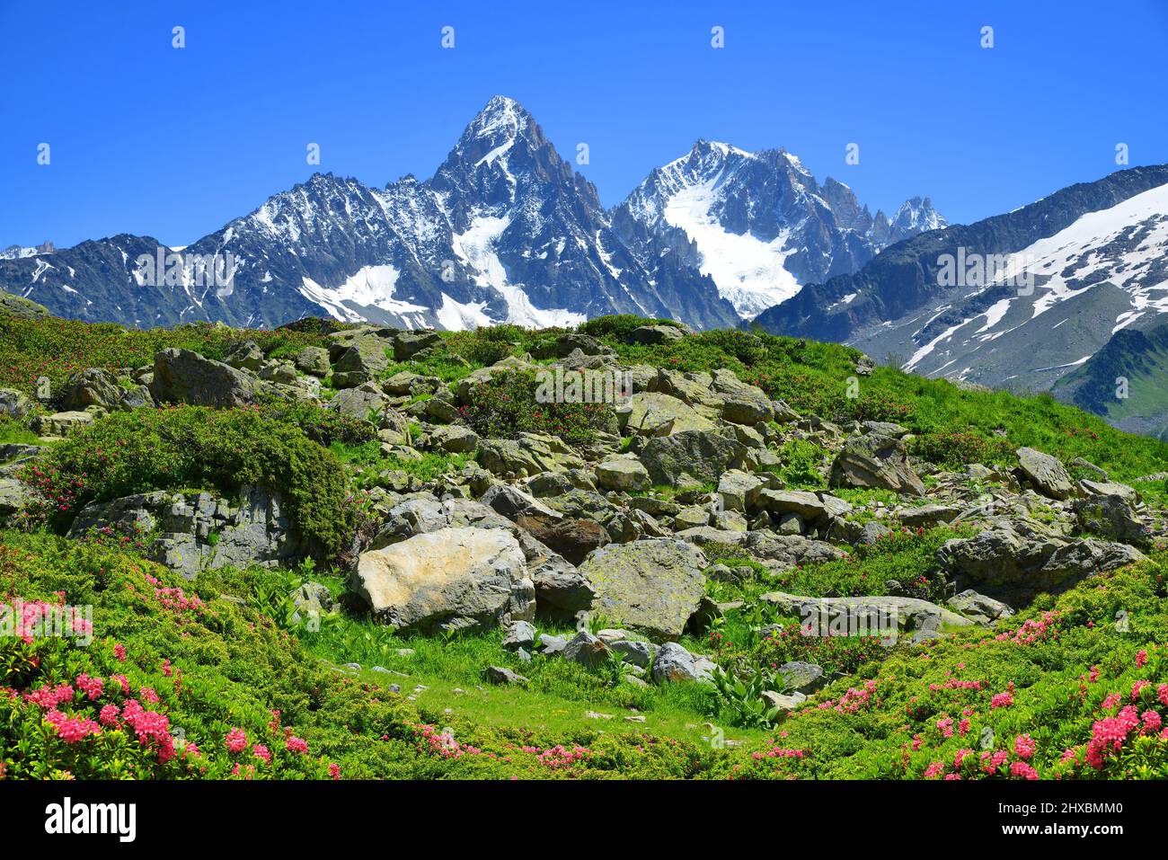 Idyllic landscape with Mont Blanc mountain range in sunny day. Mount ...