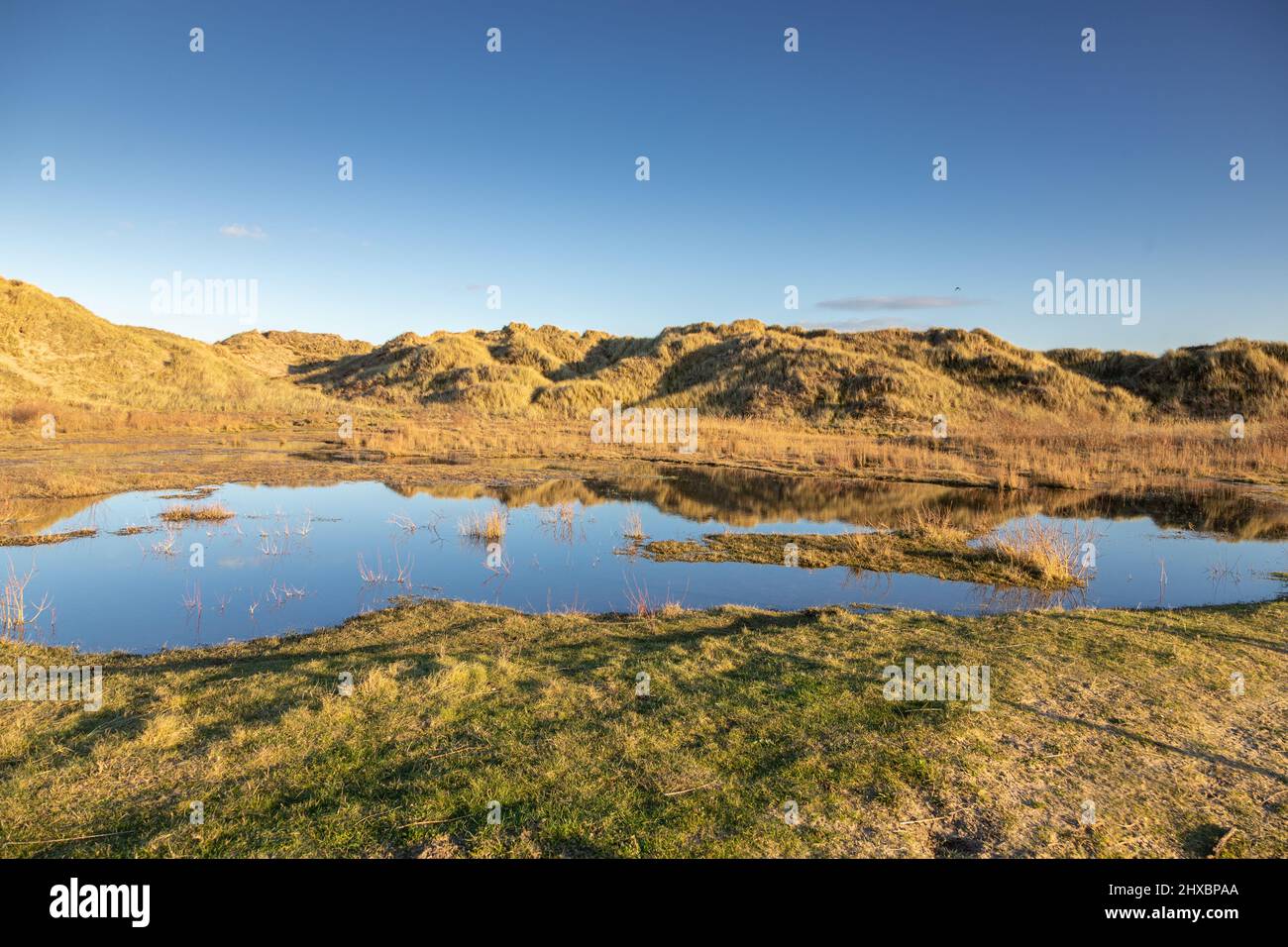 Sand dunes at Talacre beach on the North Wales coast Stock Photo - Alamy