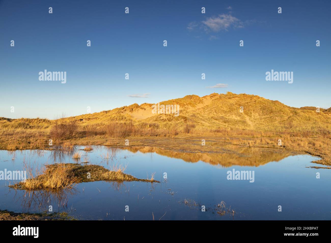 Sand dunes at Talacre beach on the North Wales coast Stock Photo - Alamy