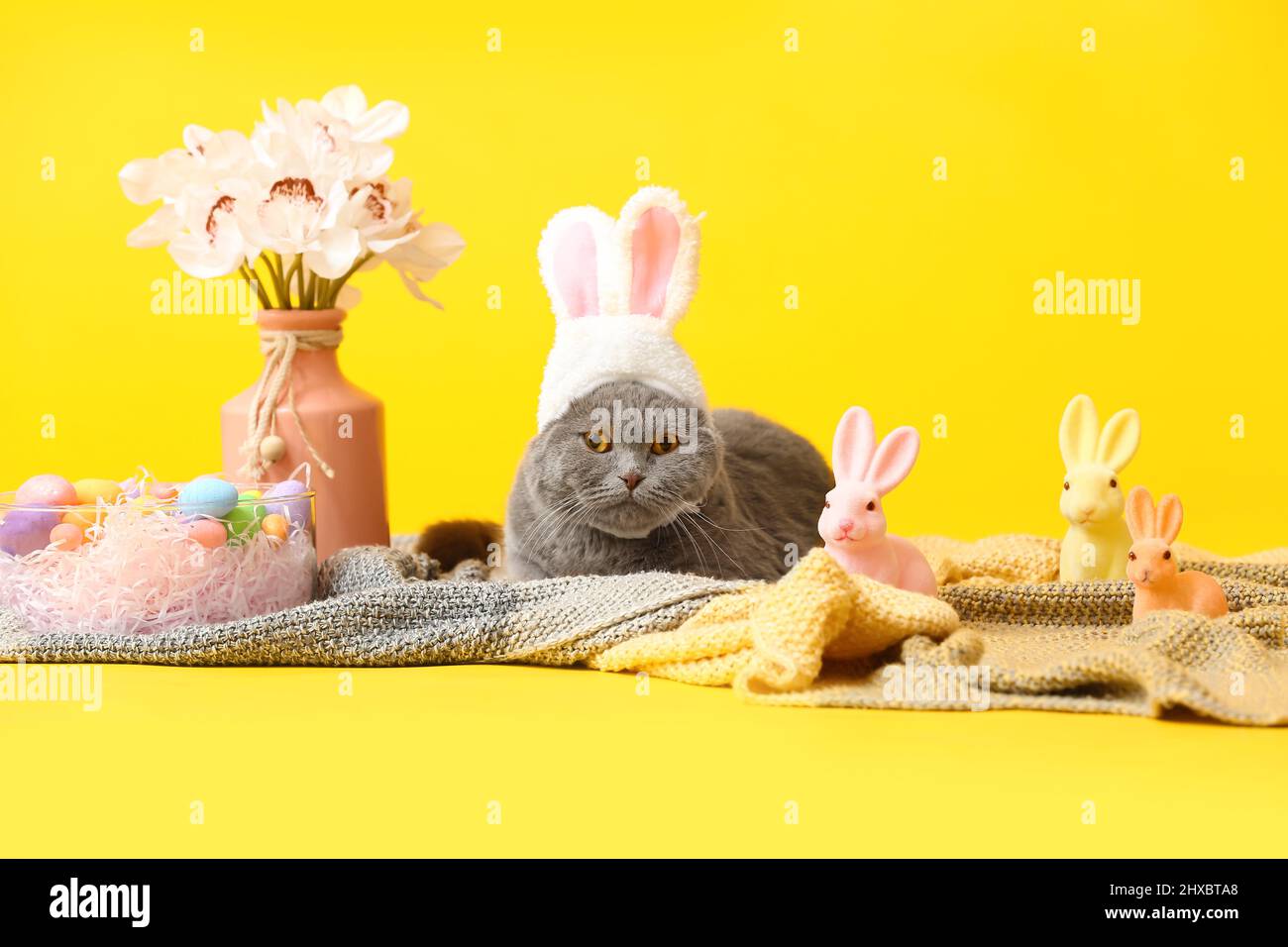 Cute Scottish Fold cat with Easter eggs, rabbits and flowers on yellow ...