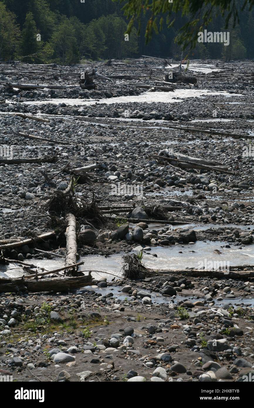 Mount Rainier in Washington State, USA Stock Photo - Alamy