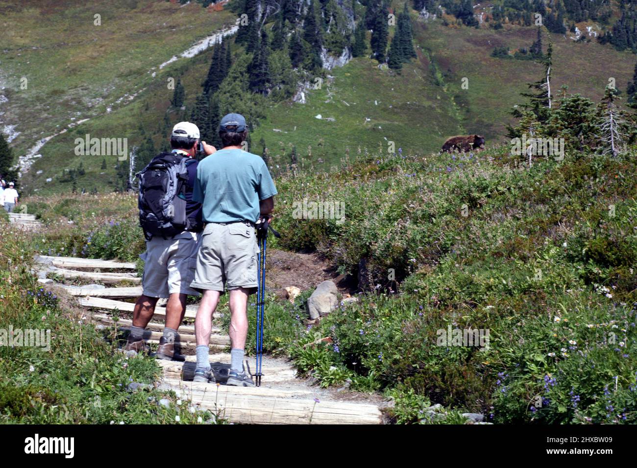 Mount Rainier in Washington State, USA Stock Photo - Alamy