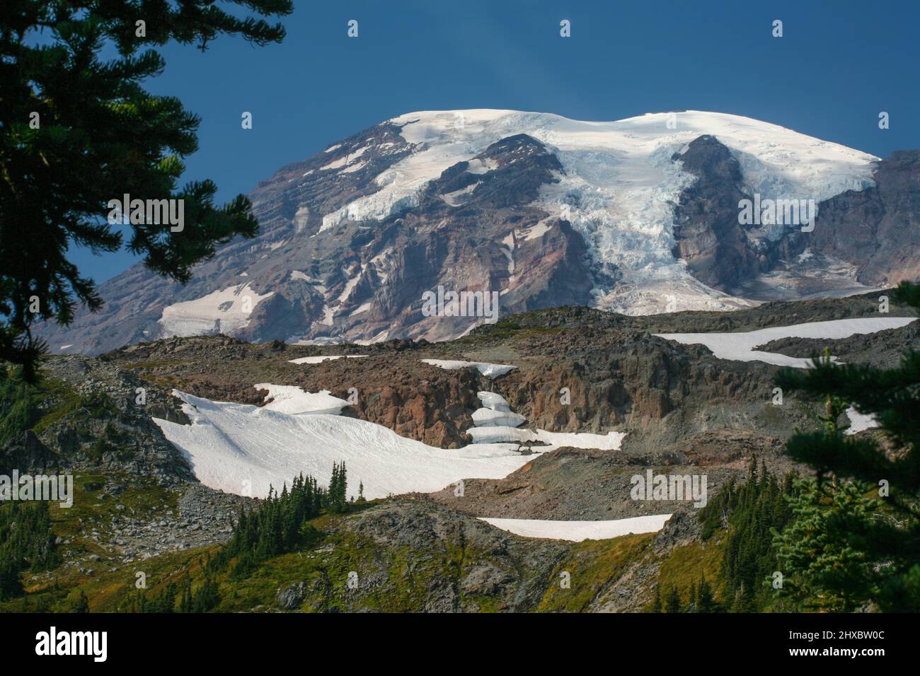 Mount Rainier in Washington State, USA Stock Photo - Alamy