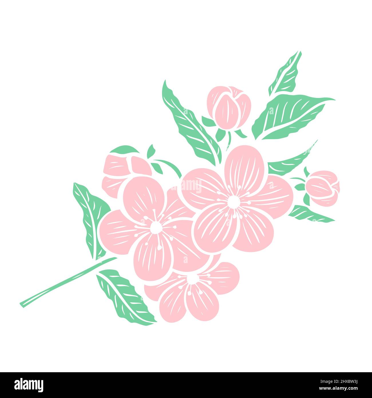 Flowering branch apple cherry Cut Out Stock Images & Pictures - Alamy