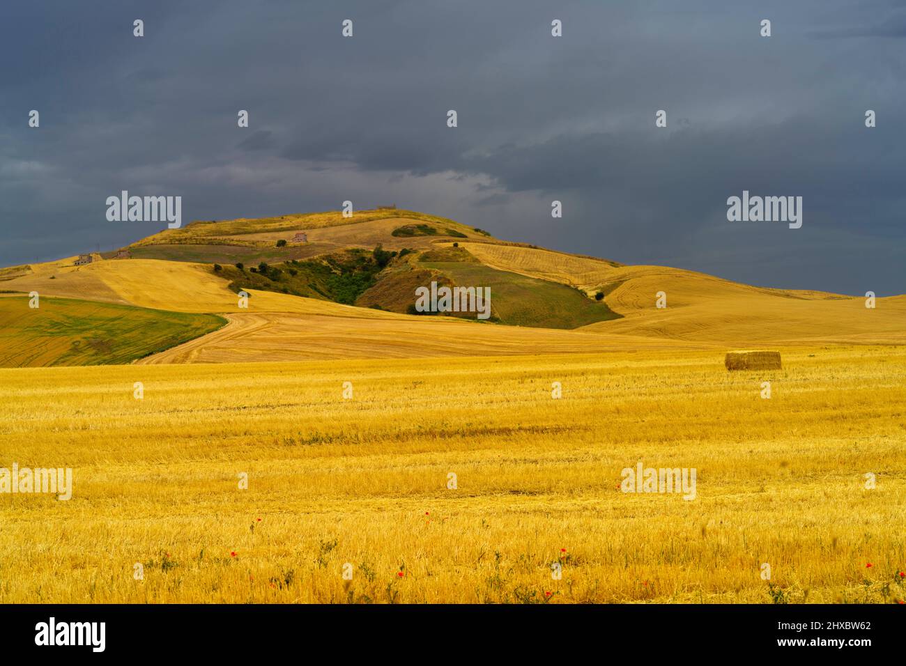 Country landscape in Basilicata along the road from Gravina in Puglia ...