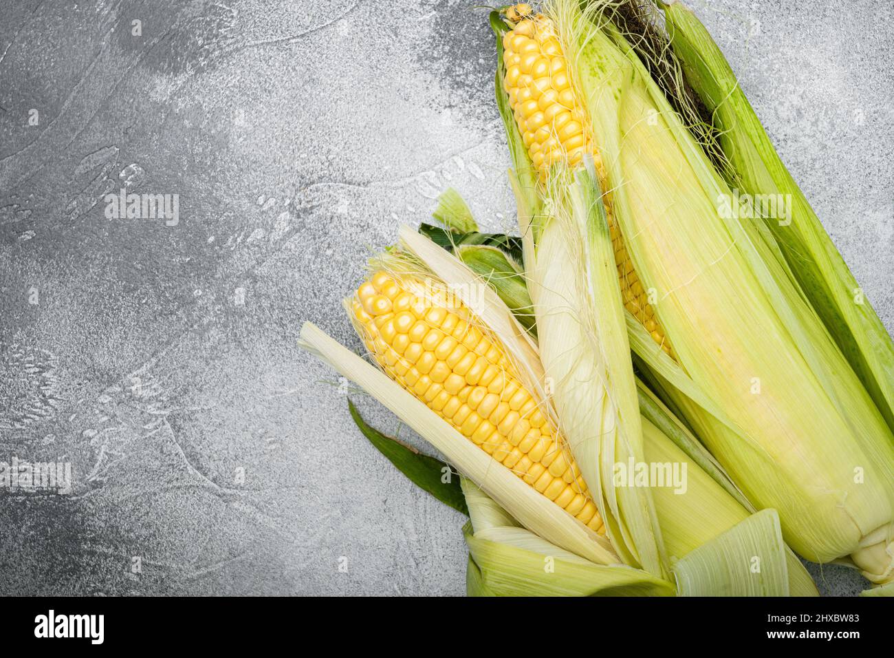 Ripe corn cob, on gray stone table background, top view flat lay, with ...