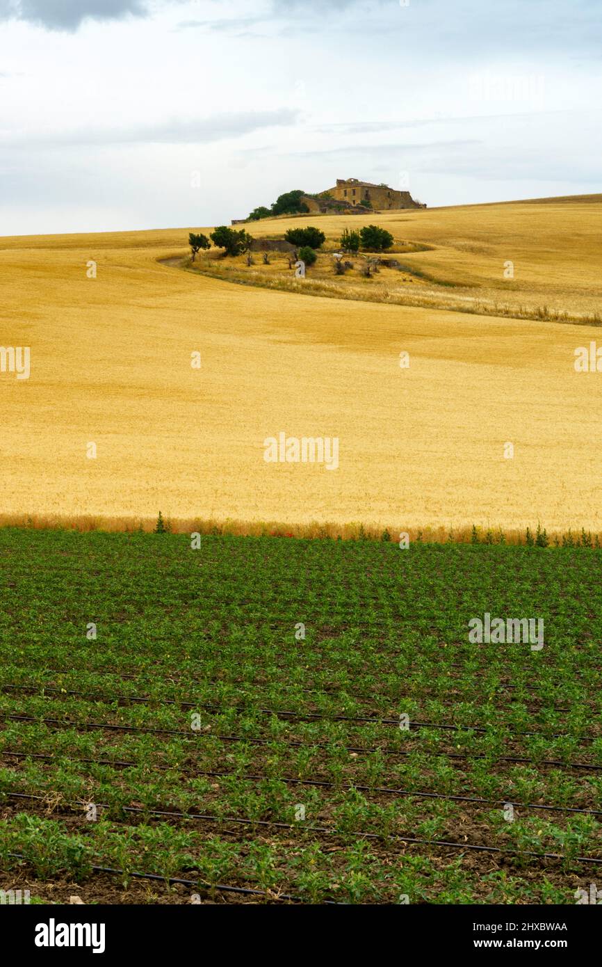 Country landscape in Basilicata along the road from Gravina in Puglia ...