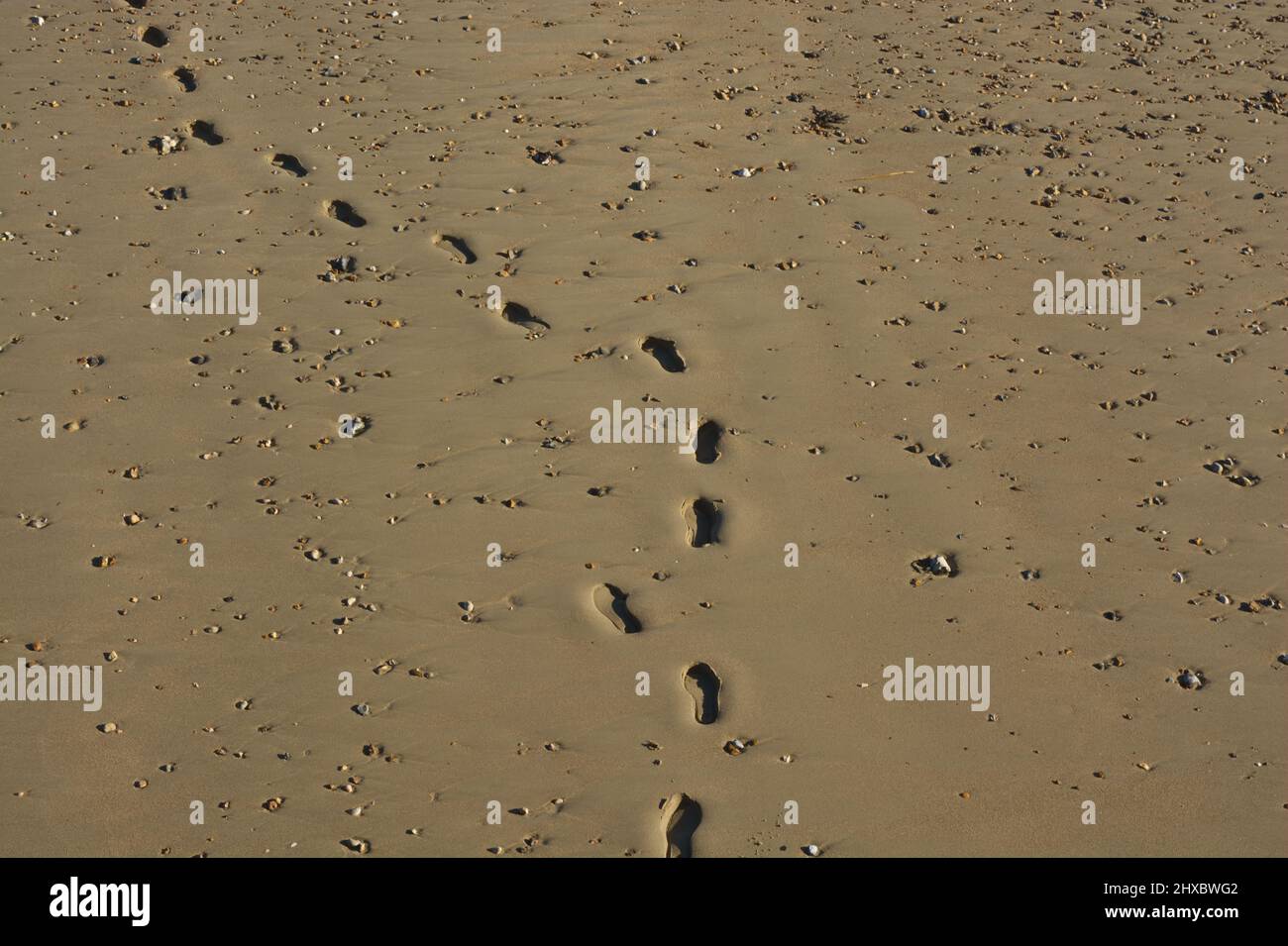 Single set of human footprints on soft sand of beach Stock Photo - Alamy