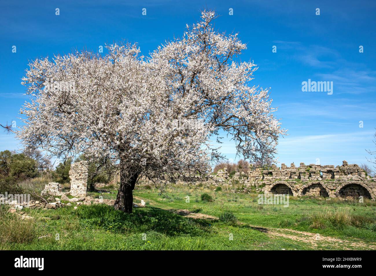 Side ancient city ruins, Side, Antalya, Turkey Stock Photo - Alamy