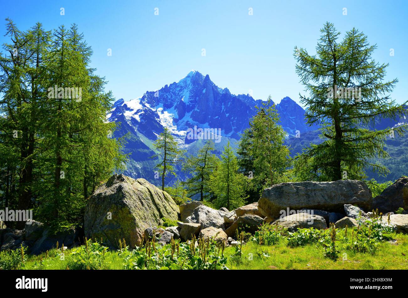 Mount Aiguille Verte in Nature Reserve Aiguilles Rouges, Graian Alps ...