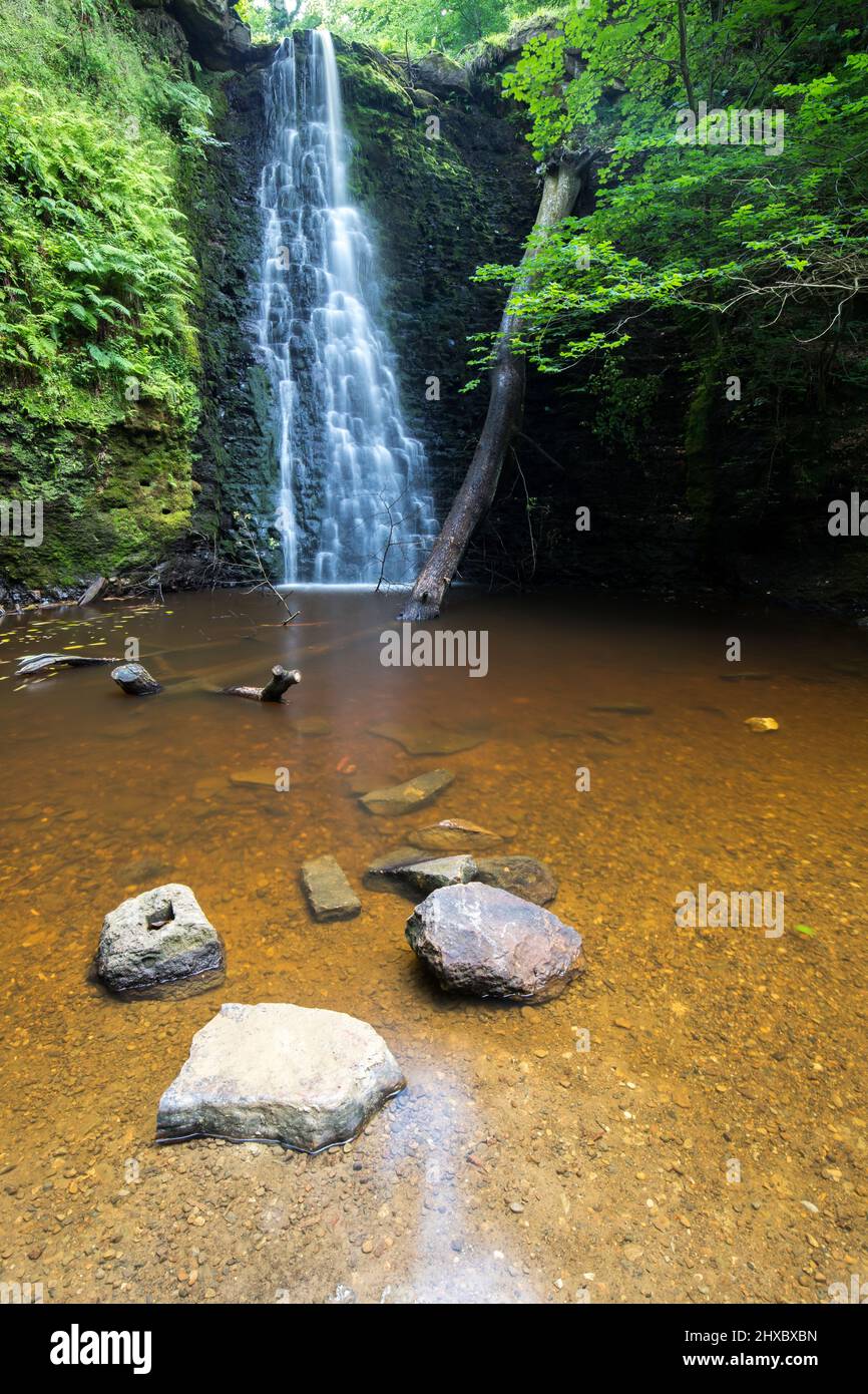 Large cascading waterfall tumbling into a peaceful pool near whitby ...