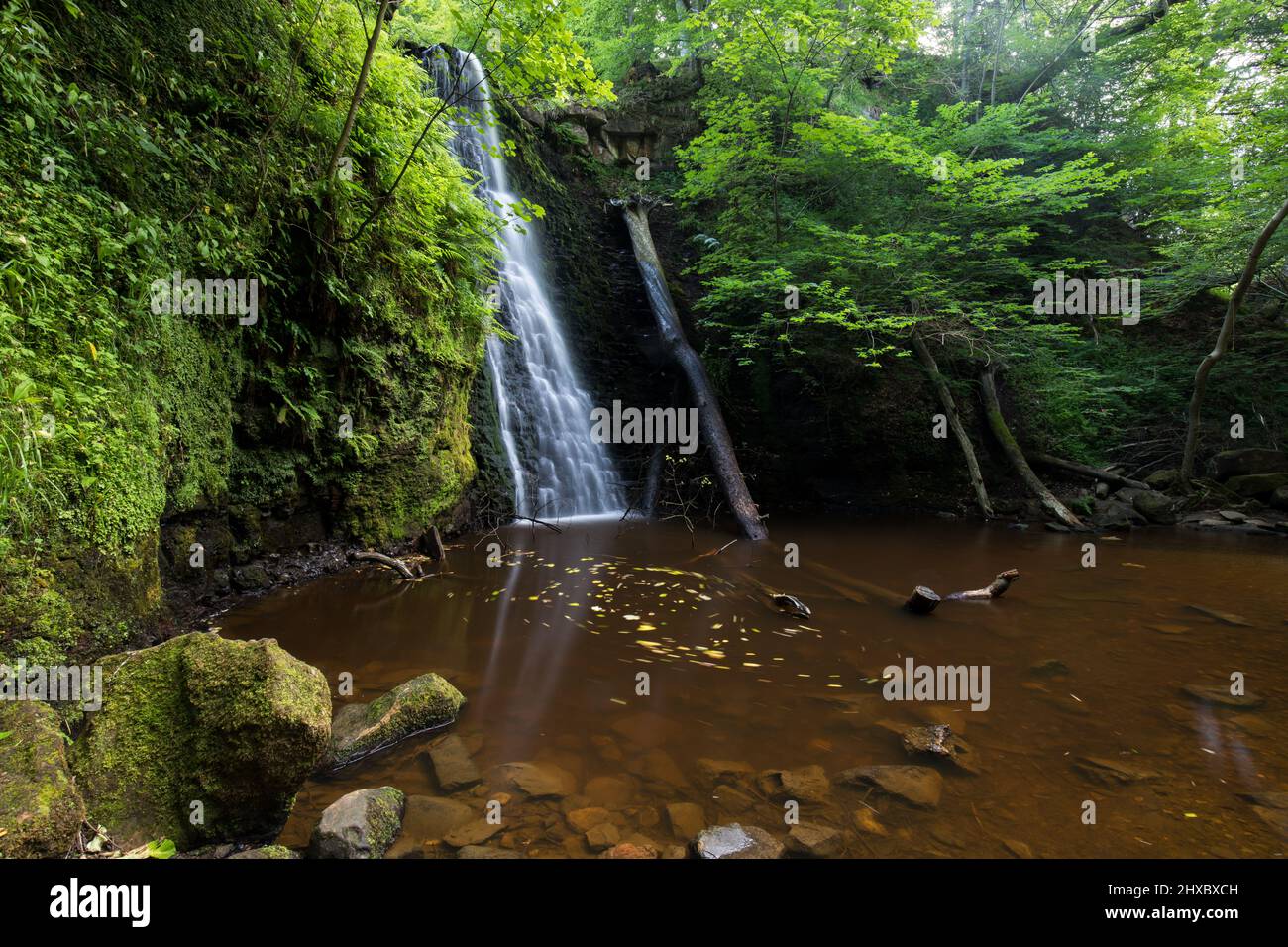 Large cascading waterfall tumbling into a peaceful pool near whitby ...