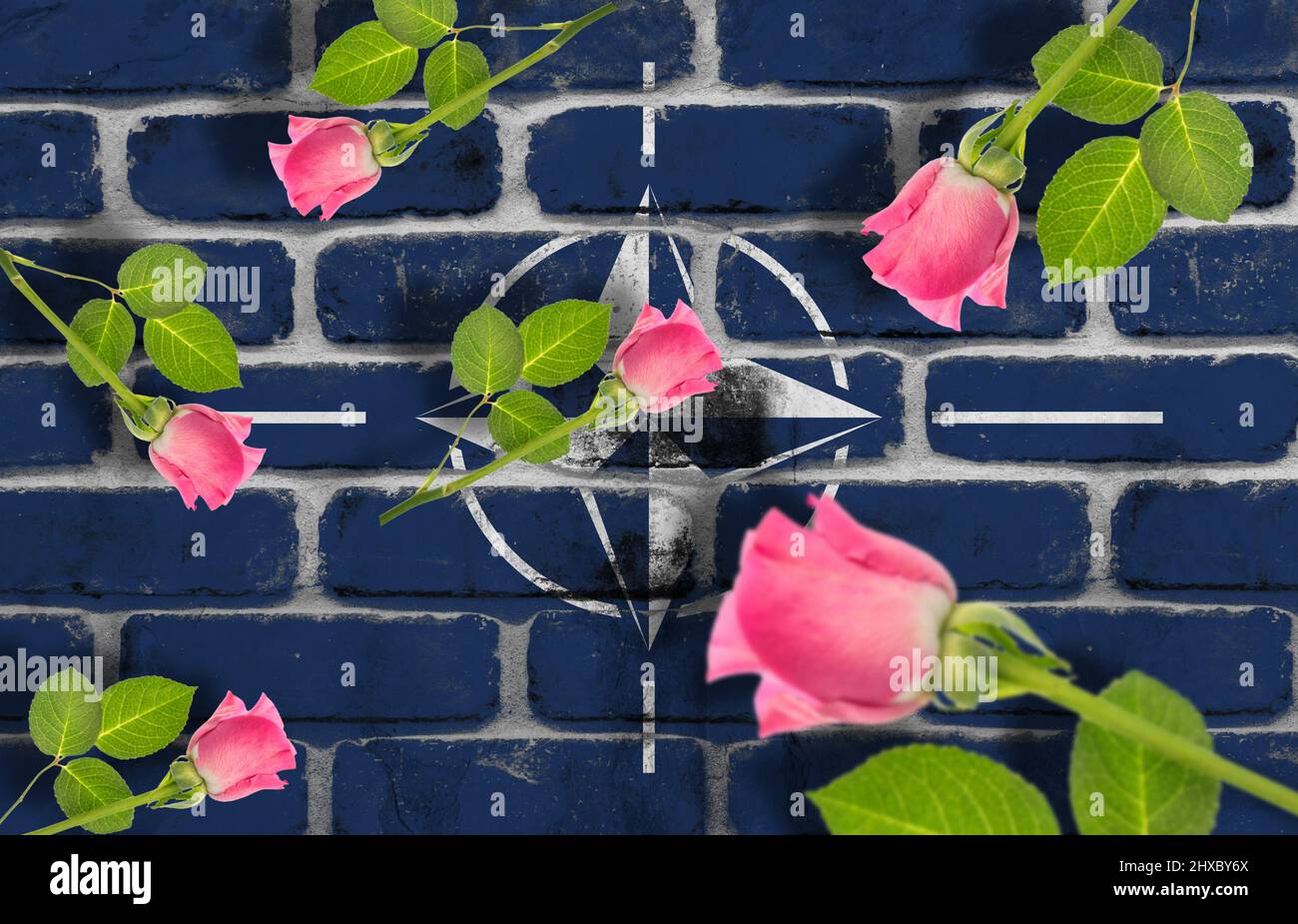 Digital composite image of pink roses over nato flag painted on brick ...