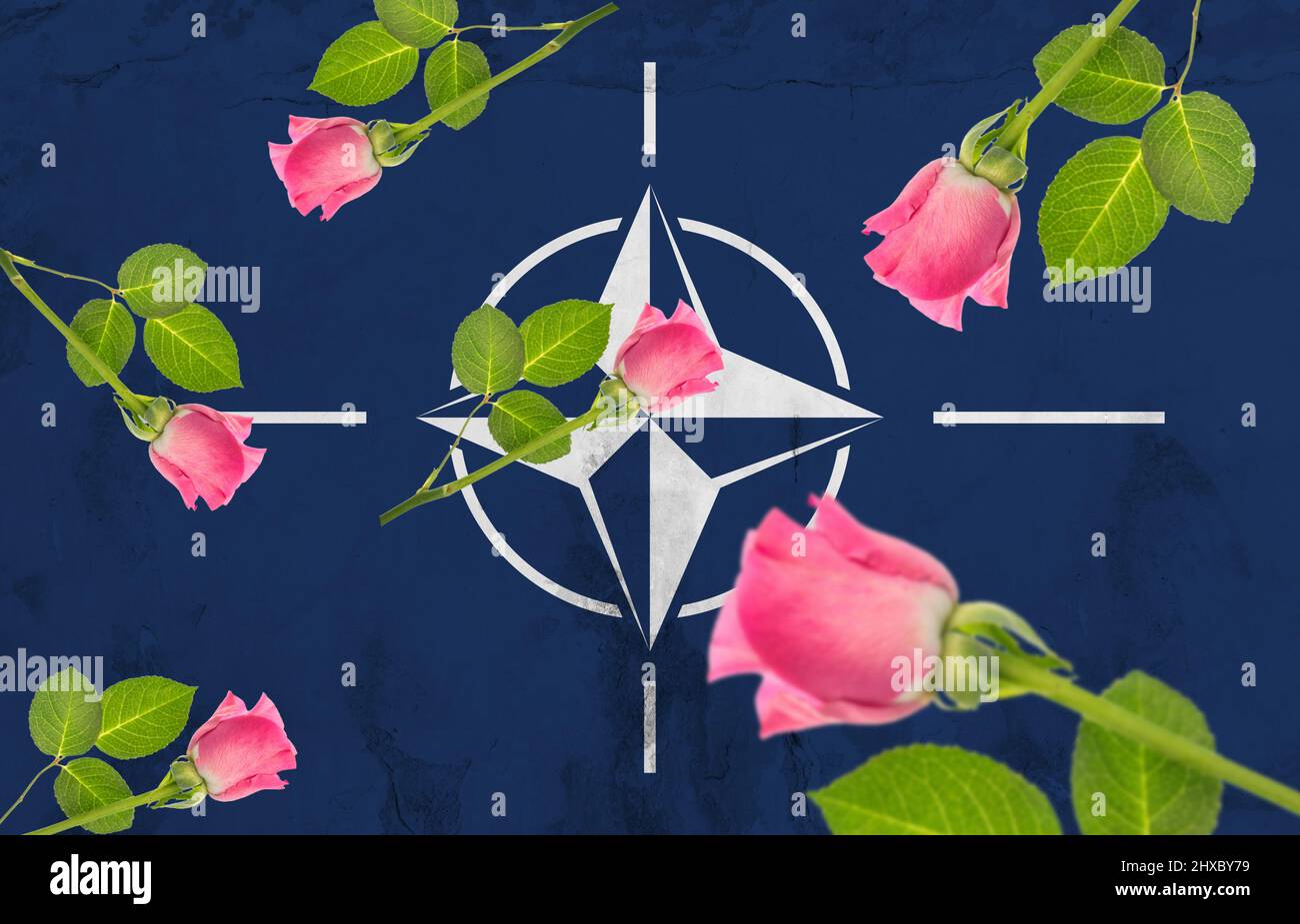 Nato flag hi-res stock photography and images - Alamy