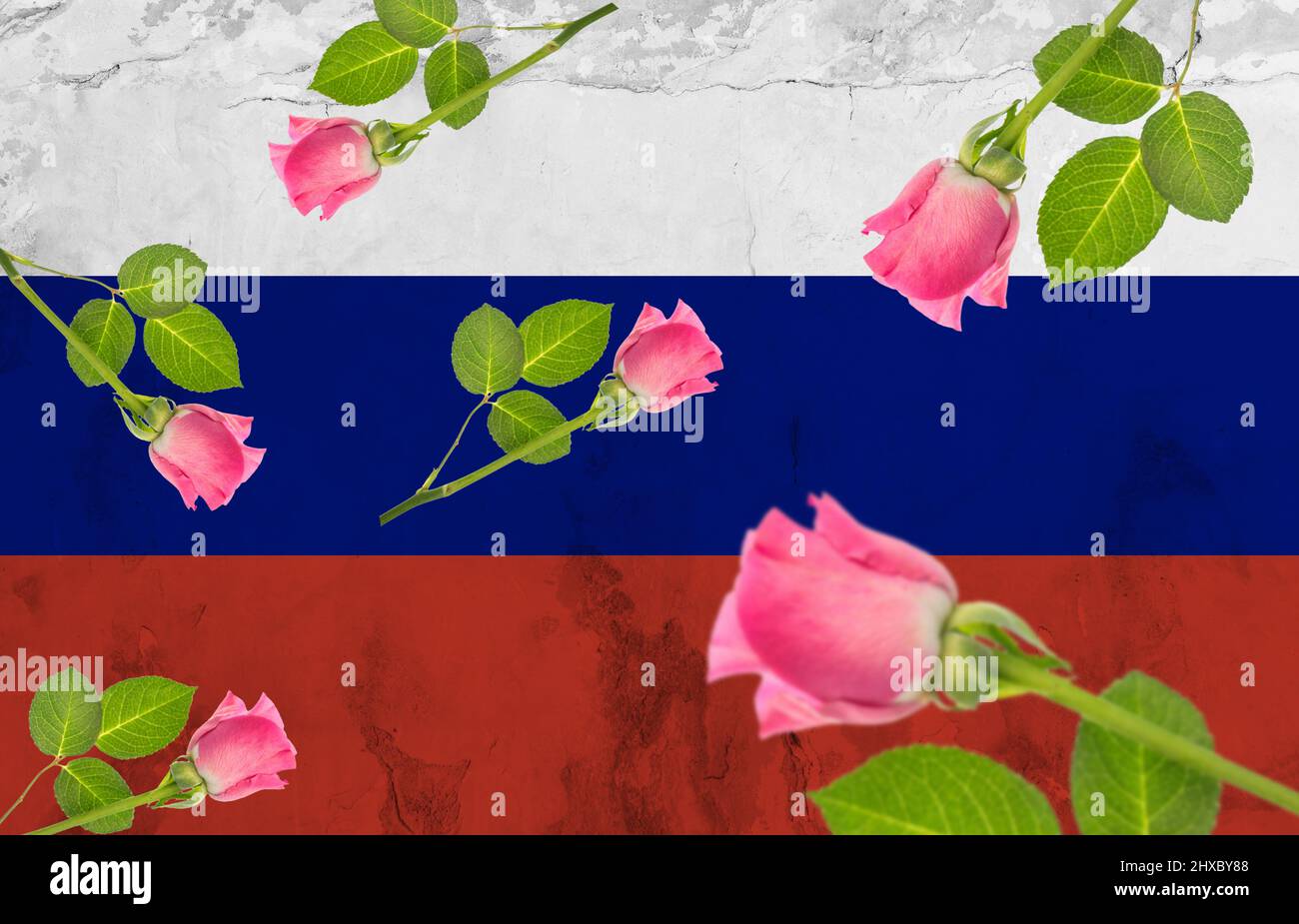 Digital composite image of pink roses over russia flag, copy space ...
