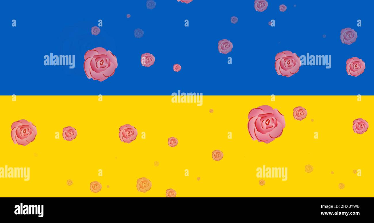 Illustration of pink roses over flag of ukraine with copy space Stock ...