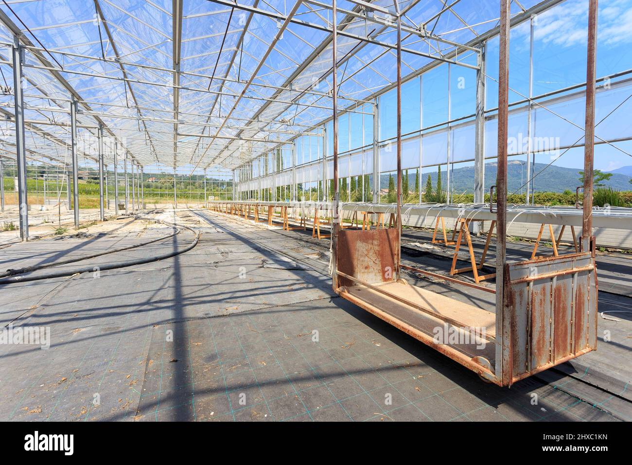Inside a hydroponic greenhouse during daylight, no people are visible ...