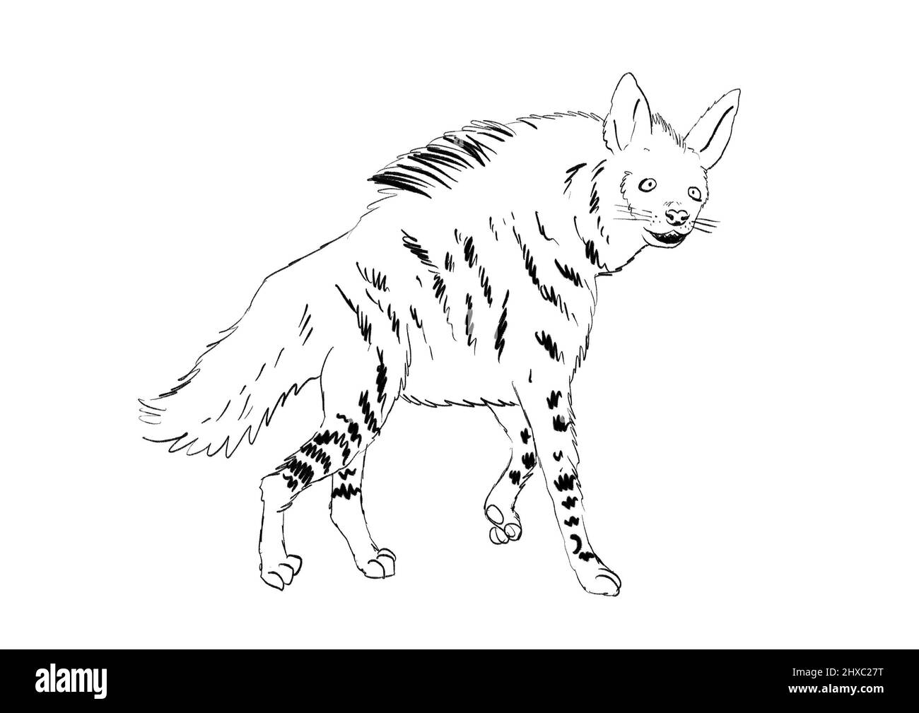 hyena character hand drawn illustration art Stock Photo - Alamy