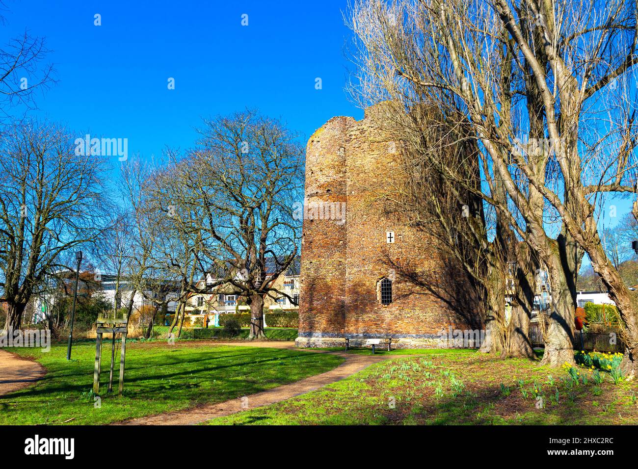 Exterior of the ruined 14th century artillery blockhouse Cow Tower by ...