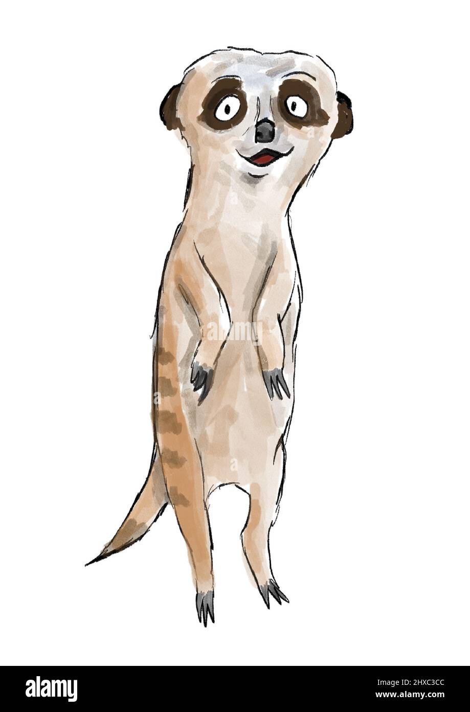 Adorable meerkat Cut Out Stock Images & Pictures - Alamy