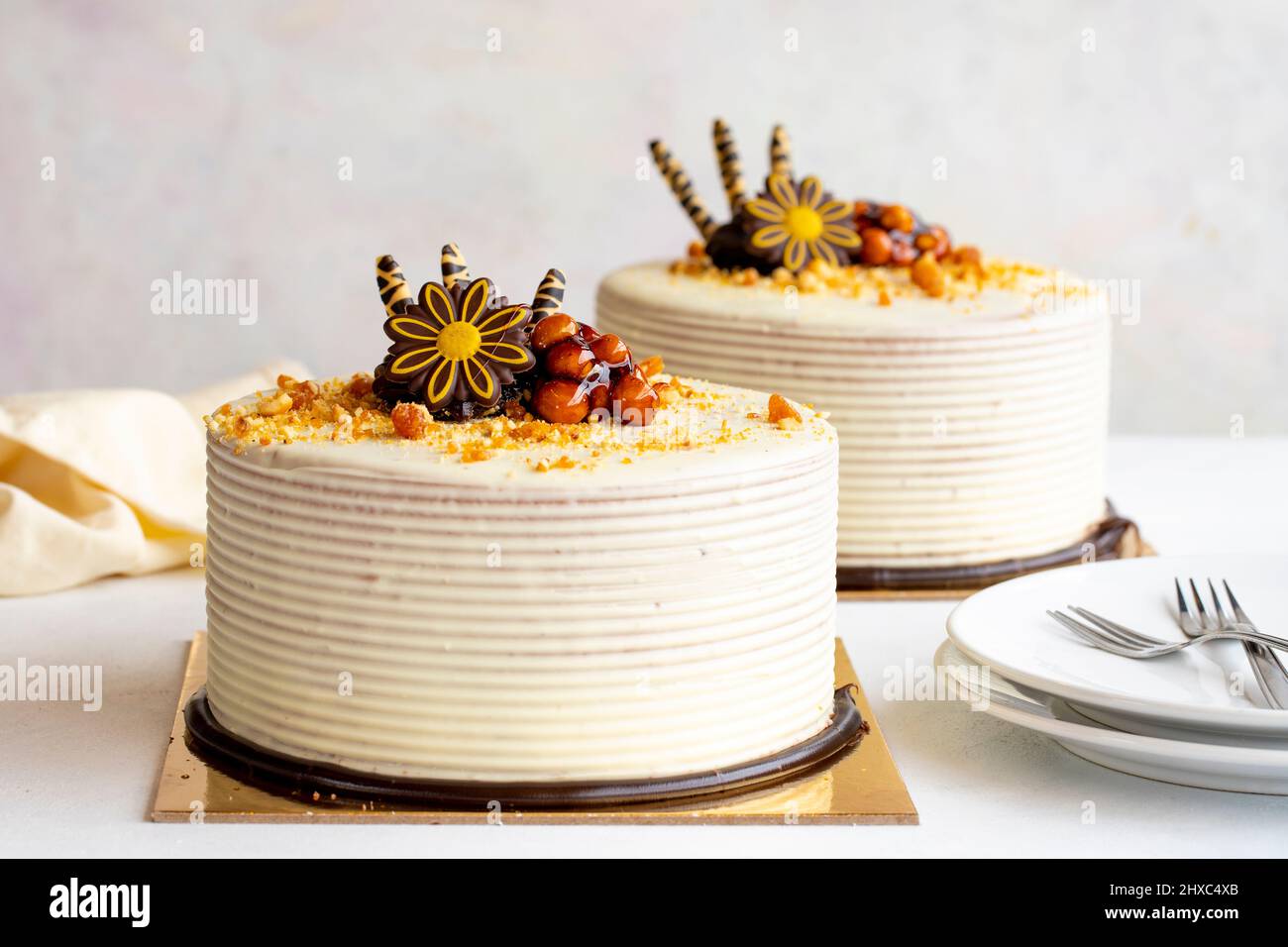 Celebratory cake with white chocolate croquant on a white background ...