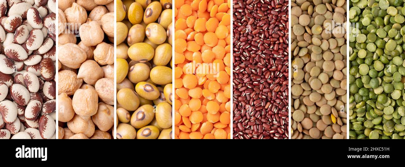 Collage of assorted legumes. Uncooked beans, lentils, peas and ...