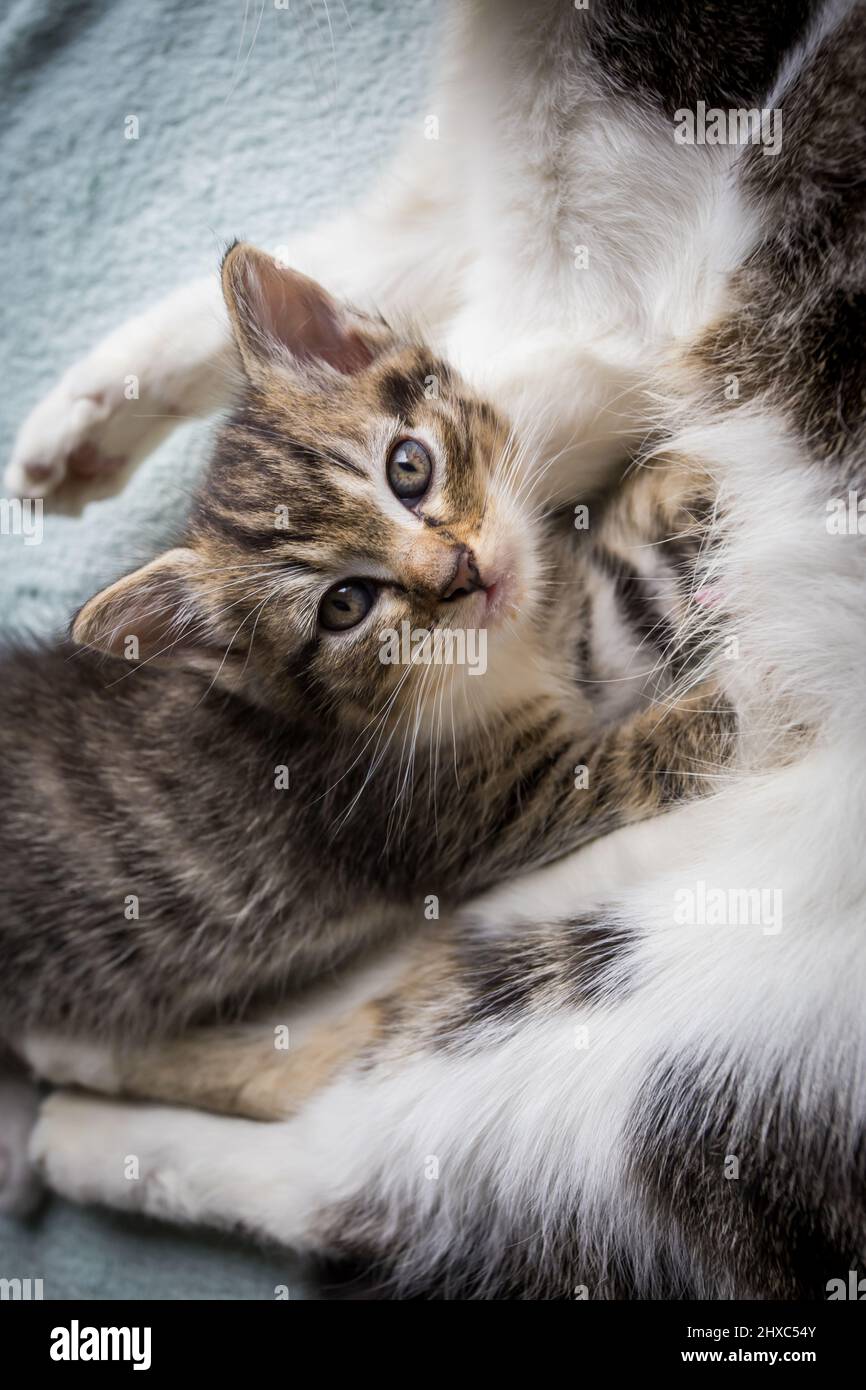 Lens and hug hi-res stock photography and images - Alamy