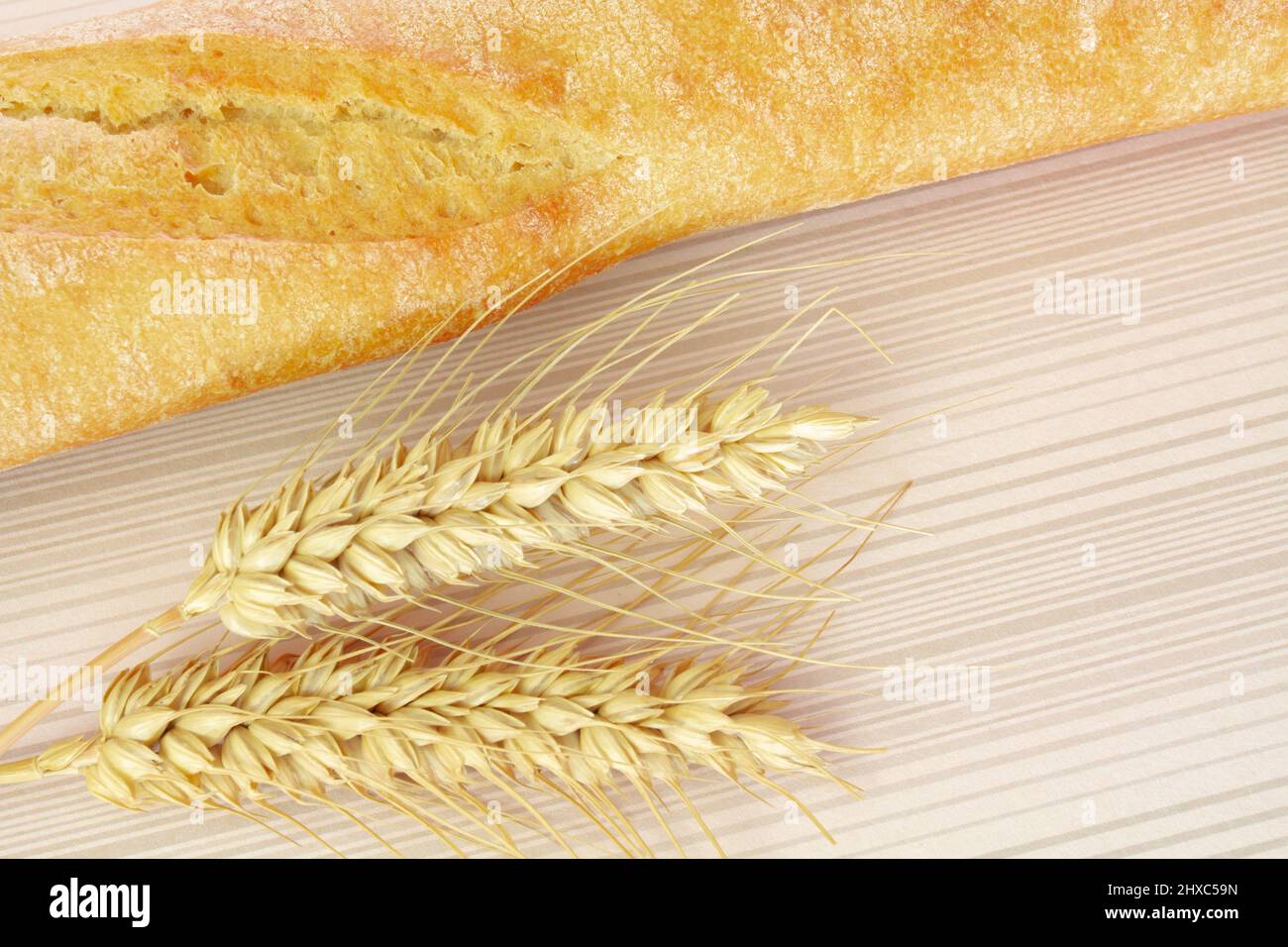 corn cob and bread isolated on white background Stock Photo - Alamy