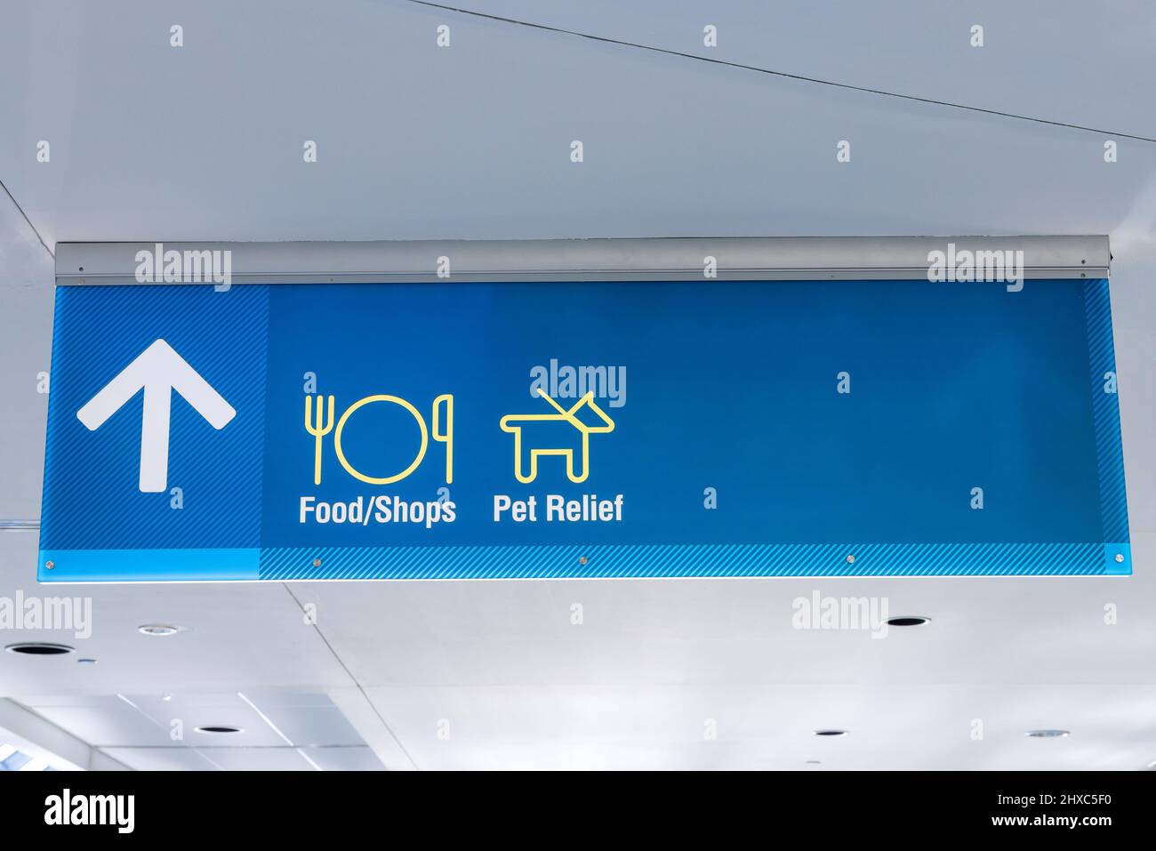 International Airport Sign Food Shops Pet Relief in interior air ...