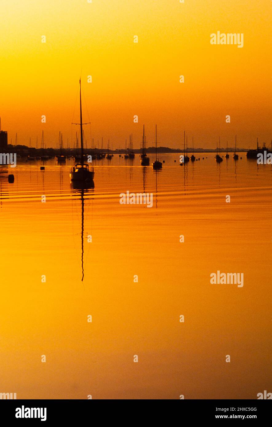 Sheepshead bay waterfront hi-res stock photography and images - Alamy