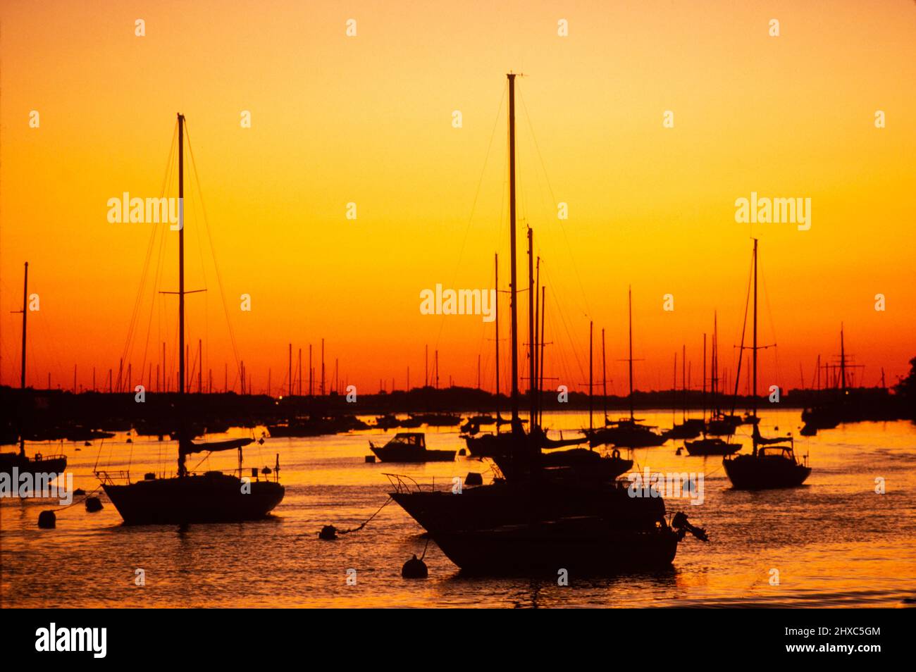 Sheepshead bay hi-res stock photography and images - Alamy