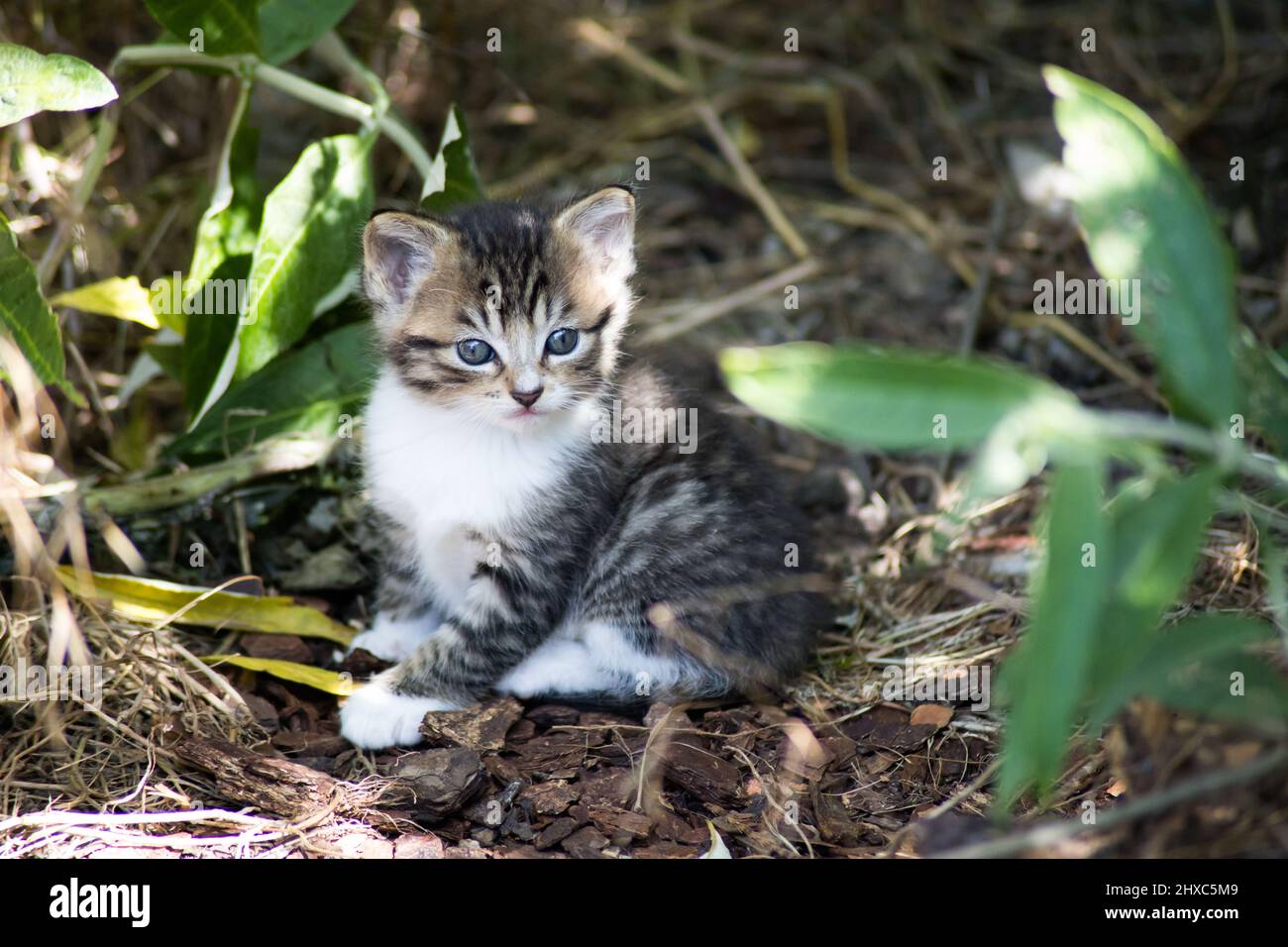 Lens and hug hi-res stock photography and images - Alamy