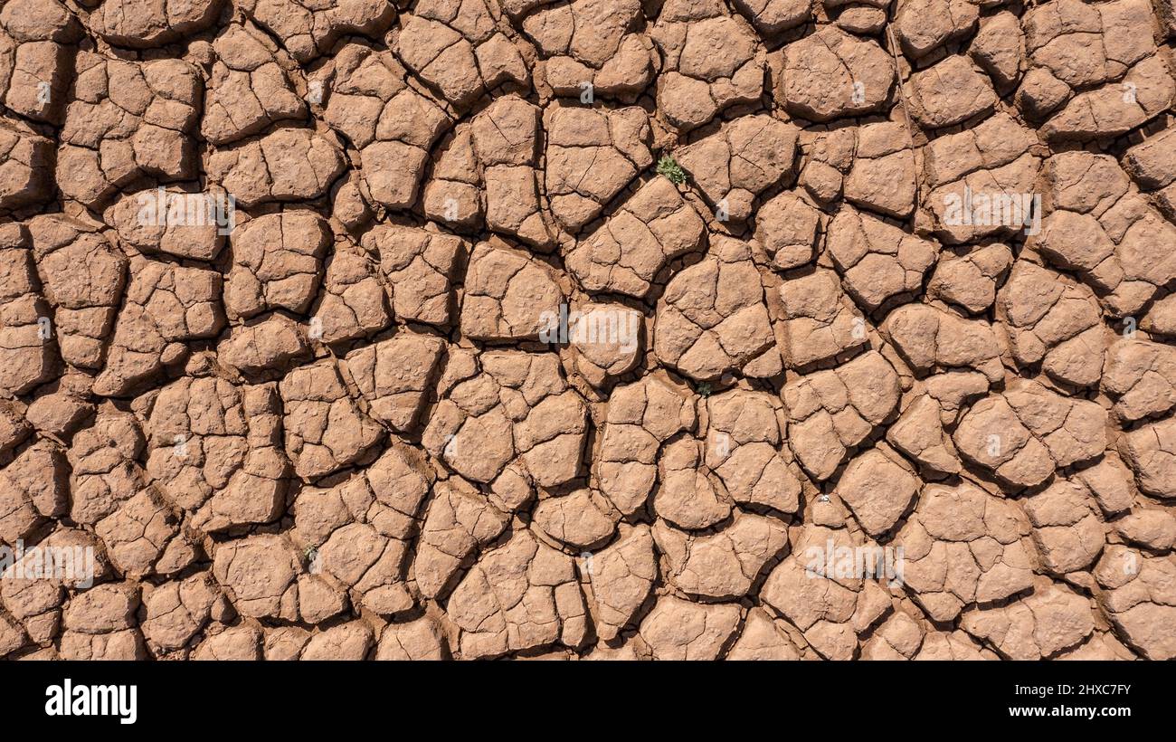 Dry and hot summers, cracked soil, ground on field with some small ...