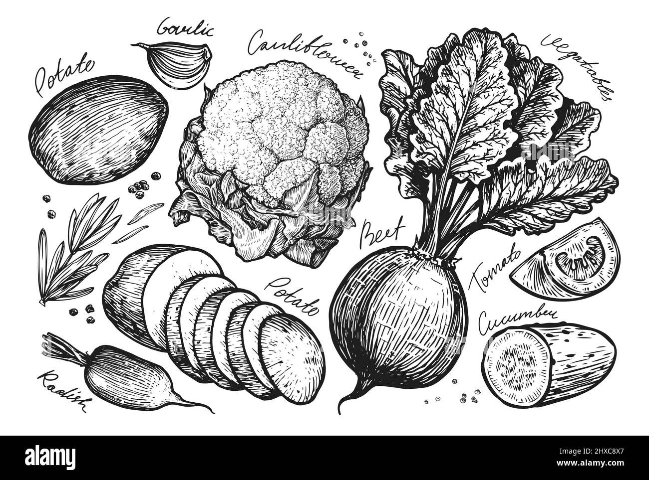 Fresh vegetables set sketch. Farm organic food hand drawn vector ...