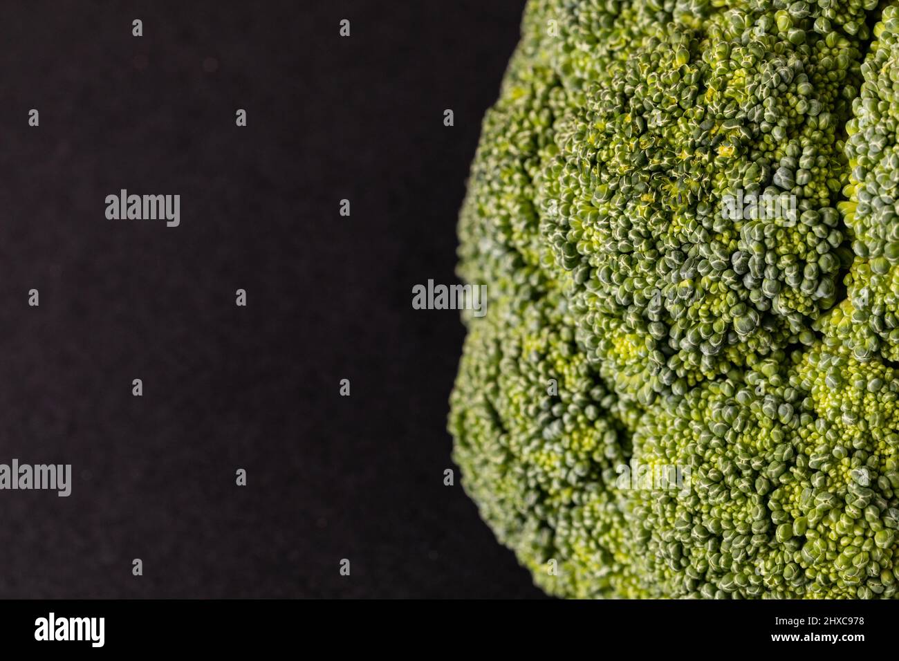 Extreme close-up of fresh green broccoli on black background with copy ...
