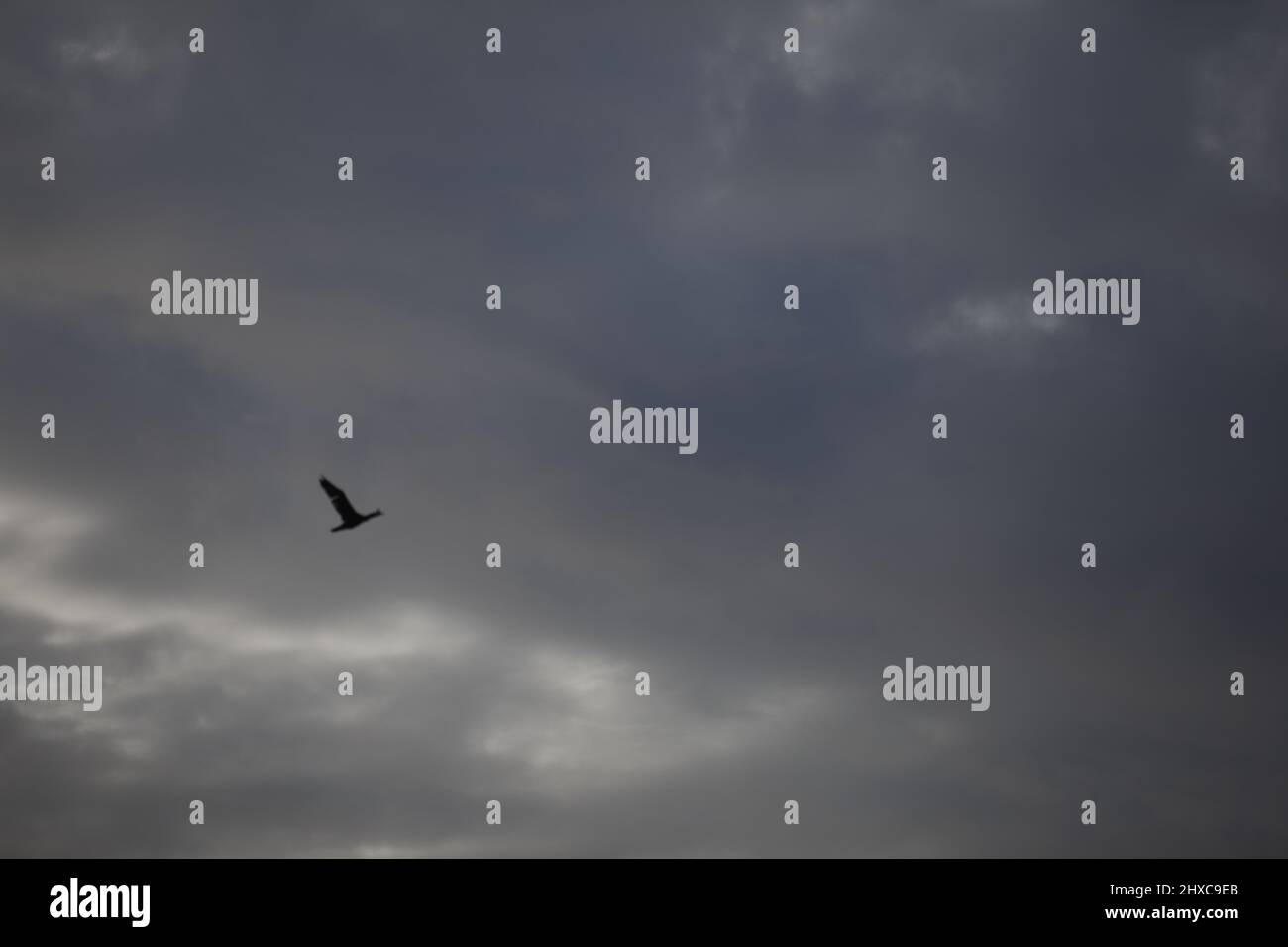low waves on the shore of a beach High quality Stock Photo - Alamy
