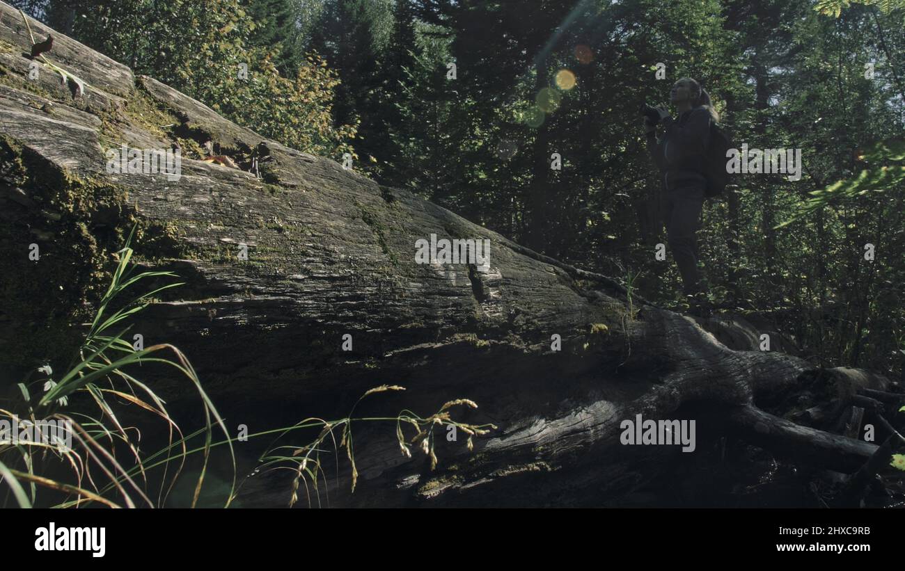 Dame fallen hi-res stock photography and images - Alamy