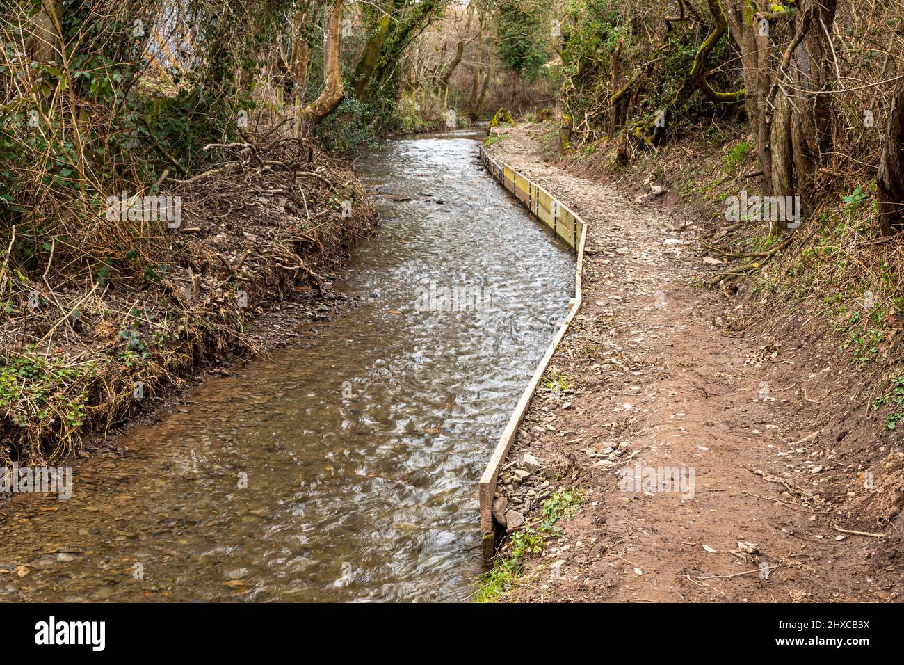 Environmental project to restore the eroded bank and public footpath of ...