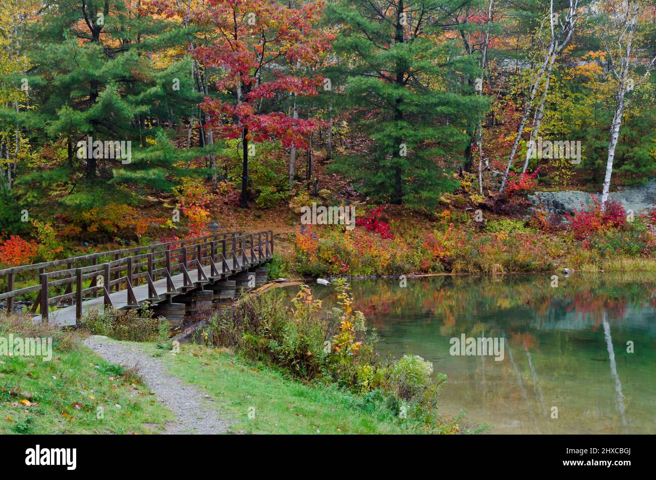 Wooden bridge above stream. Killarney Park, Canada Stock Photo - Alamy