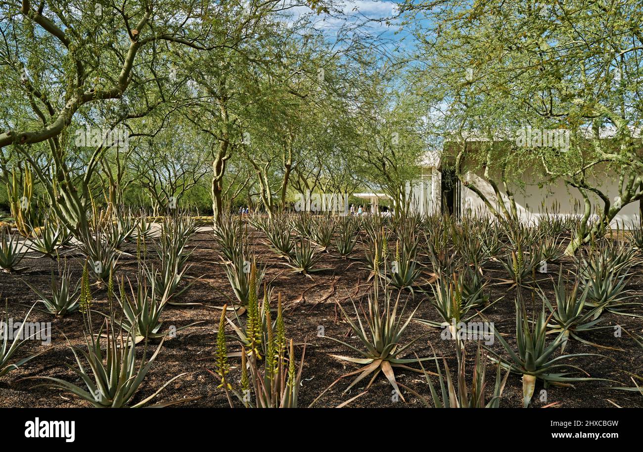 Sunnylands estate. Sunnylands emerged onto the world stage when the ...