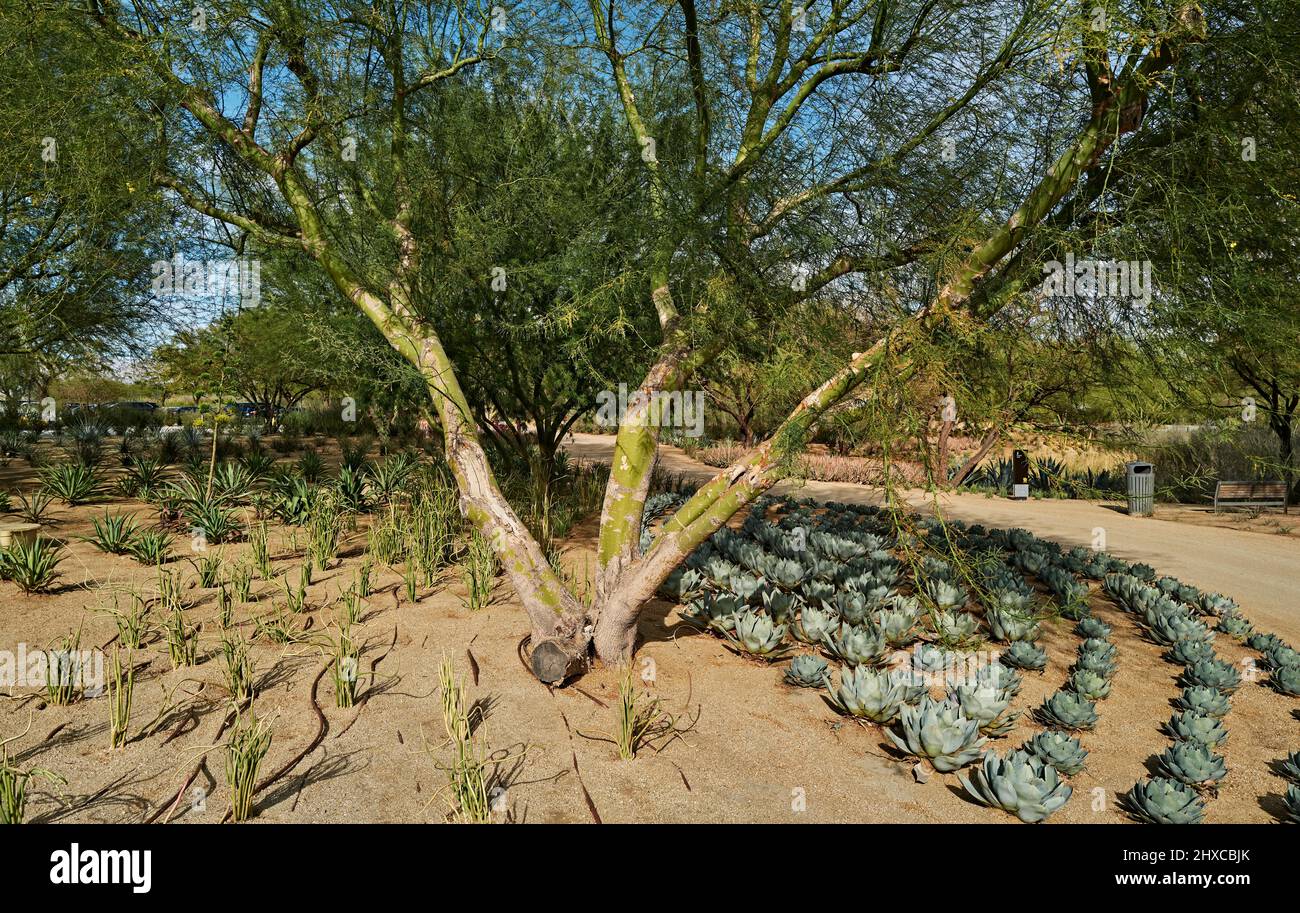 Sunnylands estate. Sunnylands emerged onto the world stage when the ...