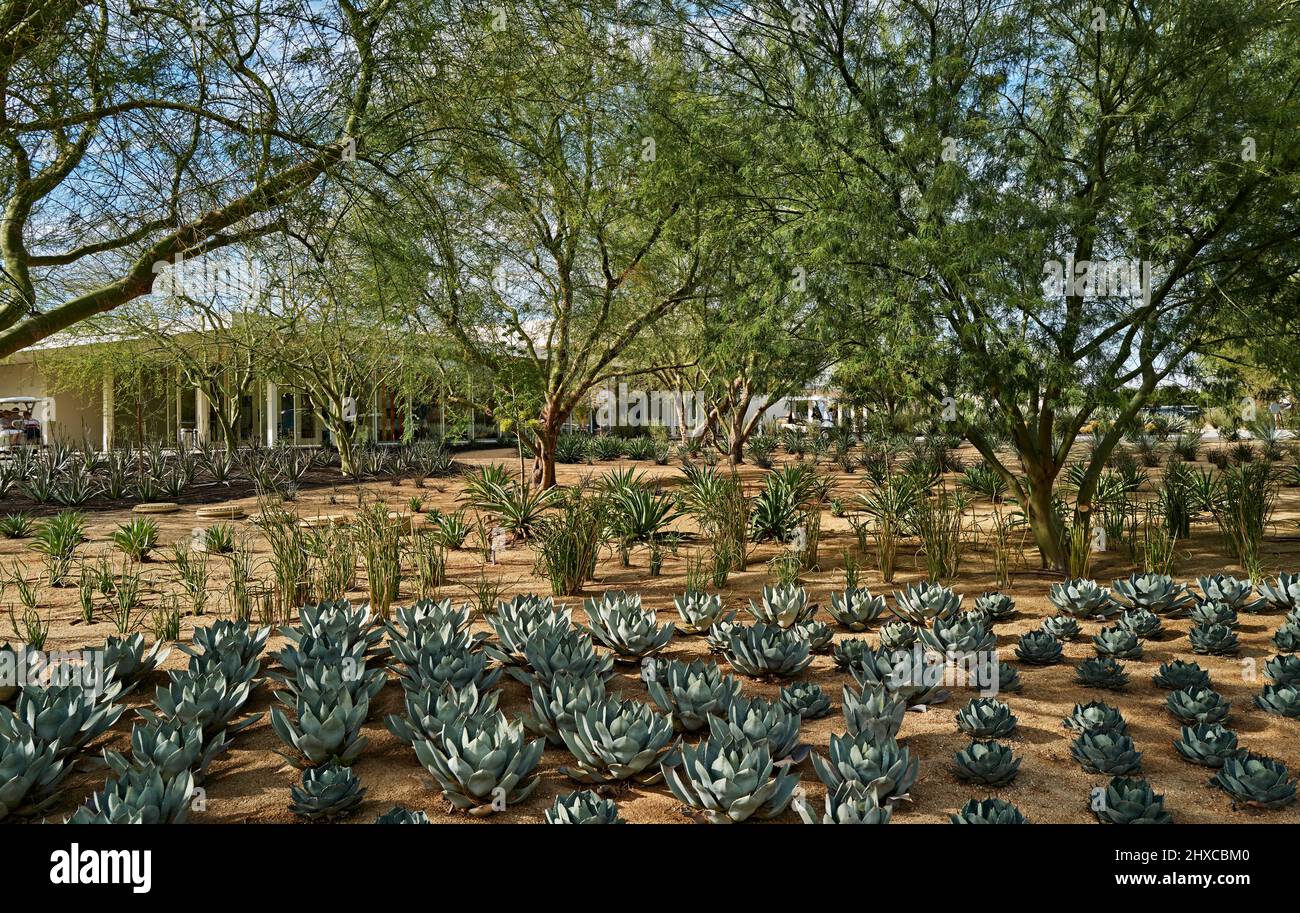 Sunnylands estate. Sunnylands emerged onto the world stage when the ...