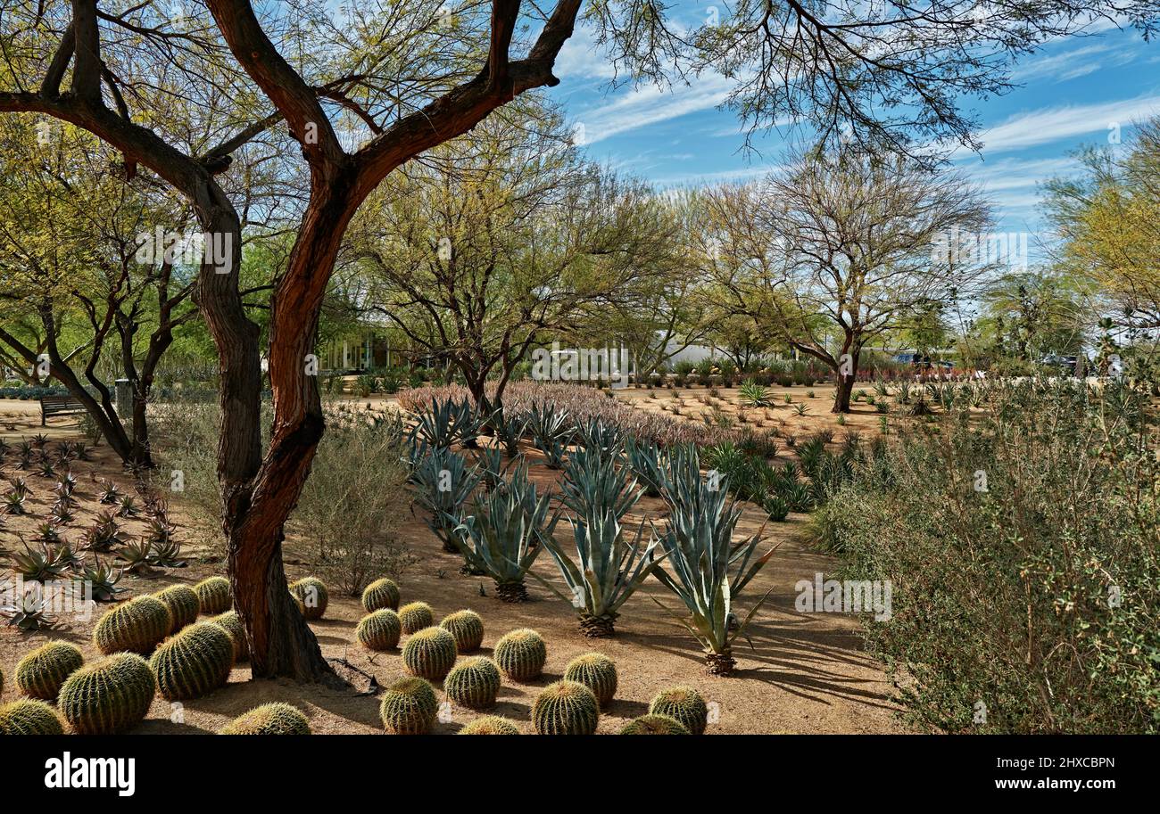 Sunnylands estate. Sunnylands emerged onto the world stage when the ...