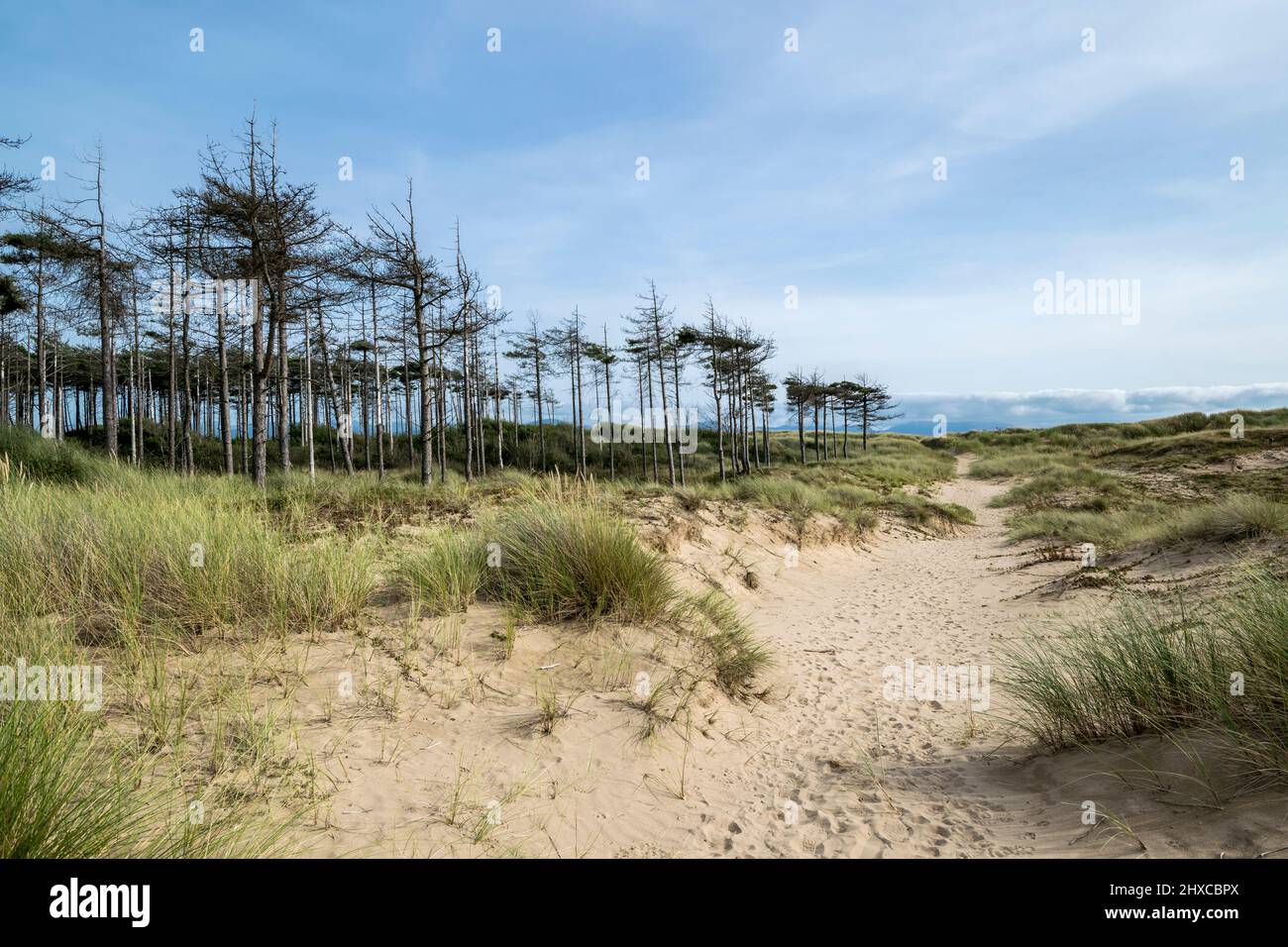 Newborough beach on Anglesey Ynys Mon North Wales uk Stock Photo - Alamy