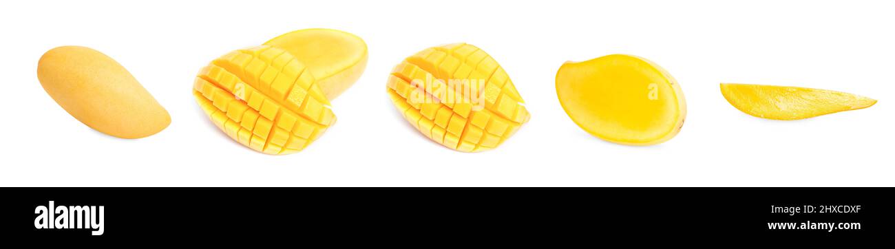 Mango collection. Mango fruits isolated on white background. tropical ...