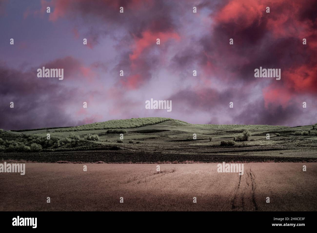 Rural infrared landscape at sunset time Stock Photo - Alamy