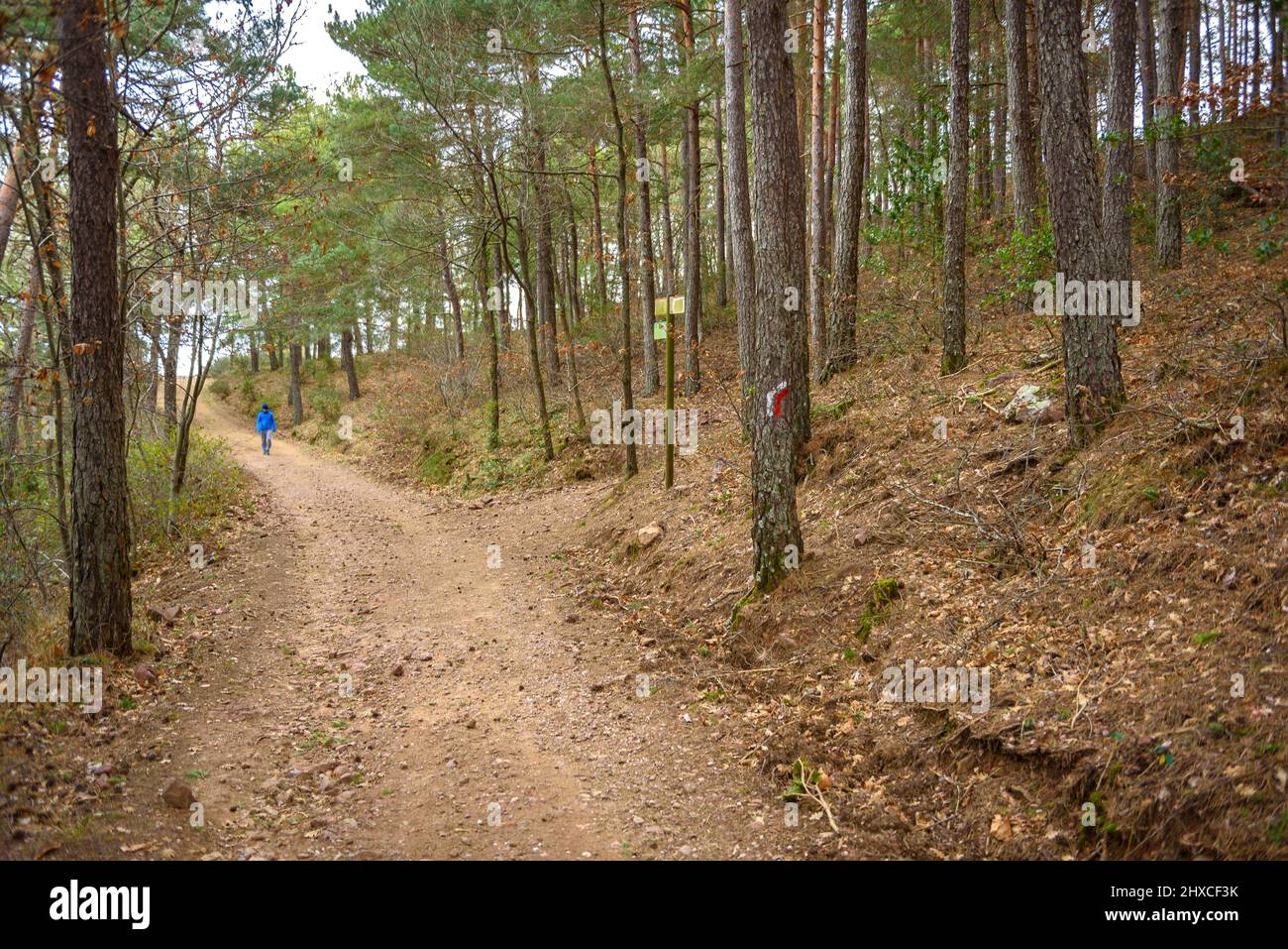 Indicator signs on the path from Prades to the summit of Tossal de la ...