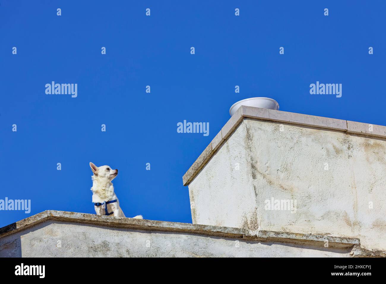 Looking down from building hi-res stock photography and images - Alamy